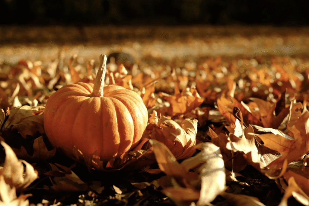 Fall Into October Fun! - Charlton Advantage